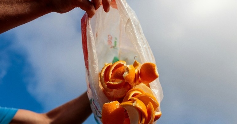 Biowaste opens up new ways for carbon removal | Helbling