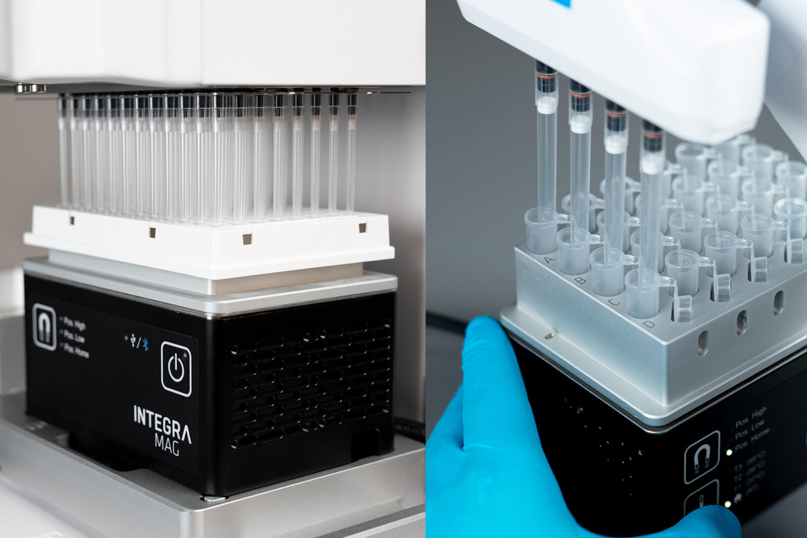 Magnetic bead separation module for pipettors | Helbling | Helbling